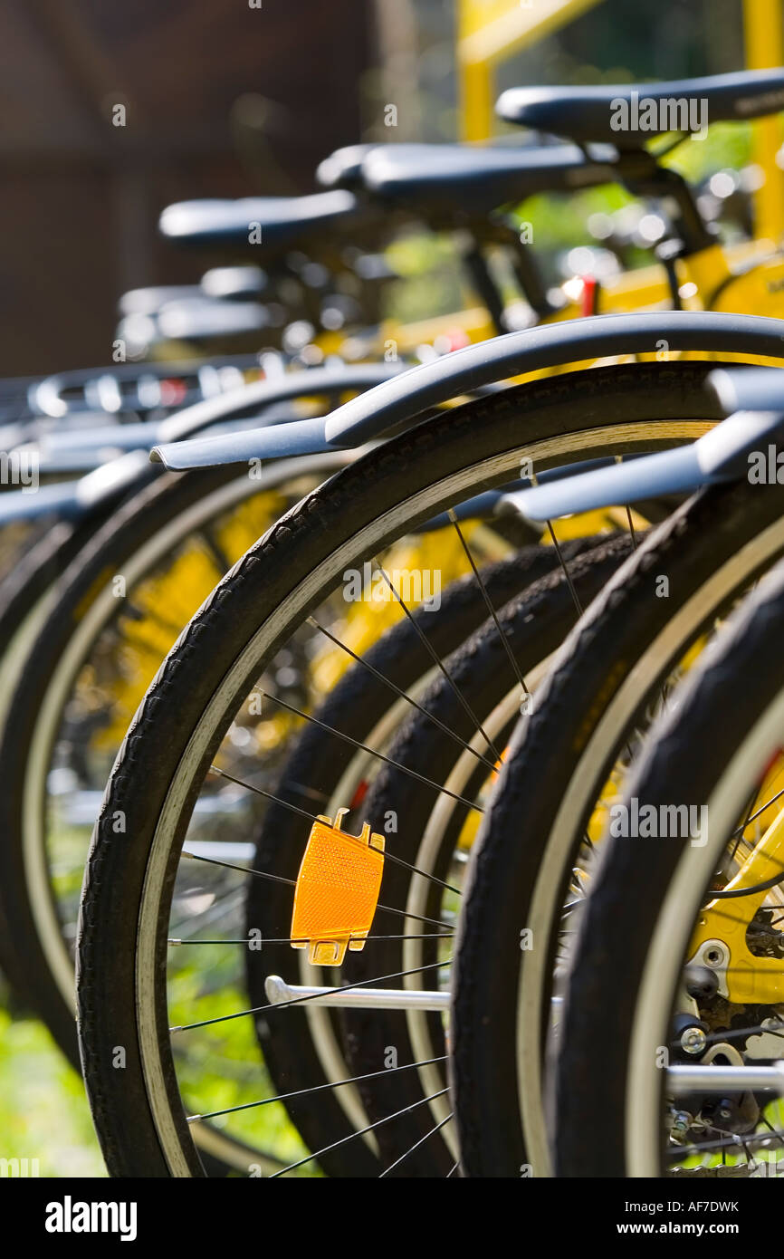 A rack of yellow bicycles Stock Photo - Alamy