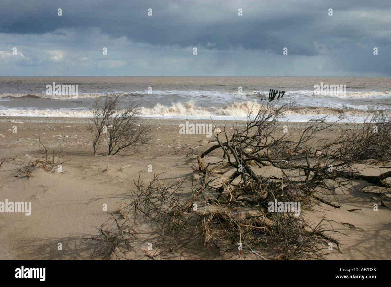 Spurn head a narrow sand spit on the tip of the coast of Yorkshire ...