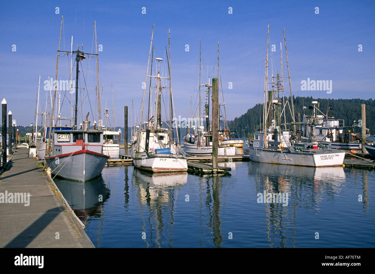 A view of fishing boats in the Florence Harbor on the Oregon coast ...