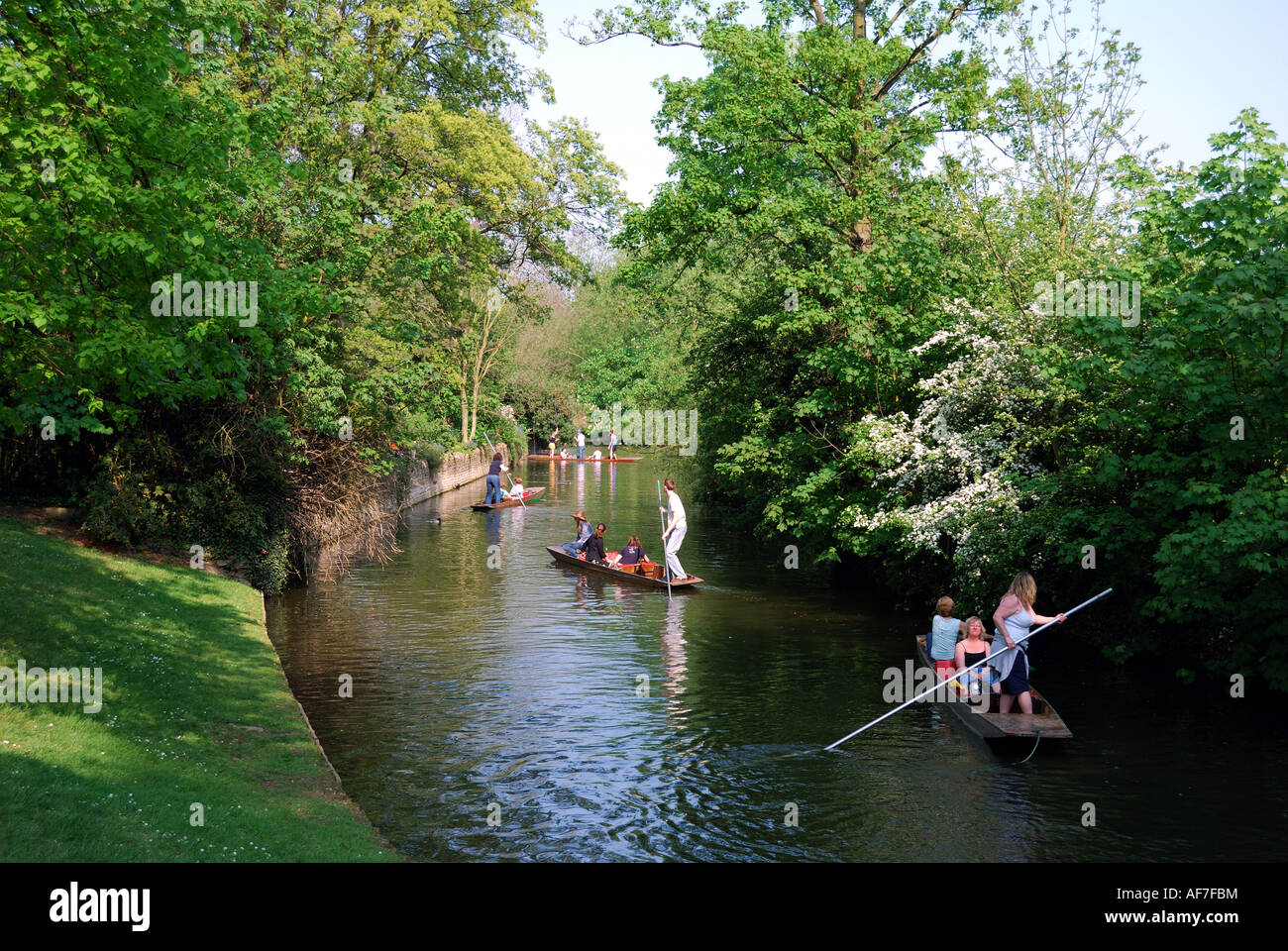 Students punting on River Cherwell, Oxford, Oxfordshire, England ...