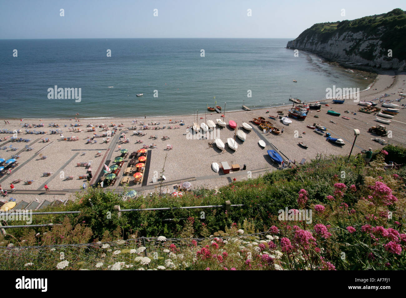 scenic beer holiday resort south devon england uk gb Stock Photo - Alamy