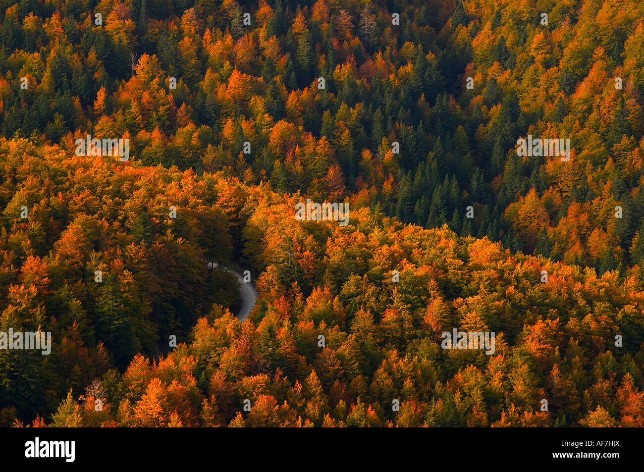 Hoja de carretera hi-res stock photography and images - Alamy