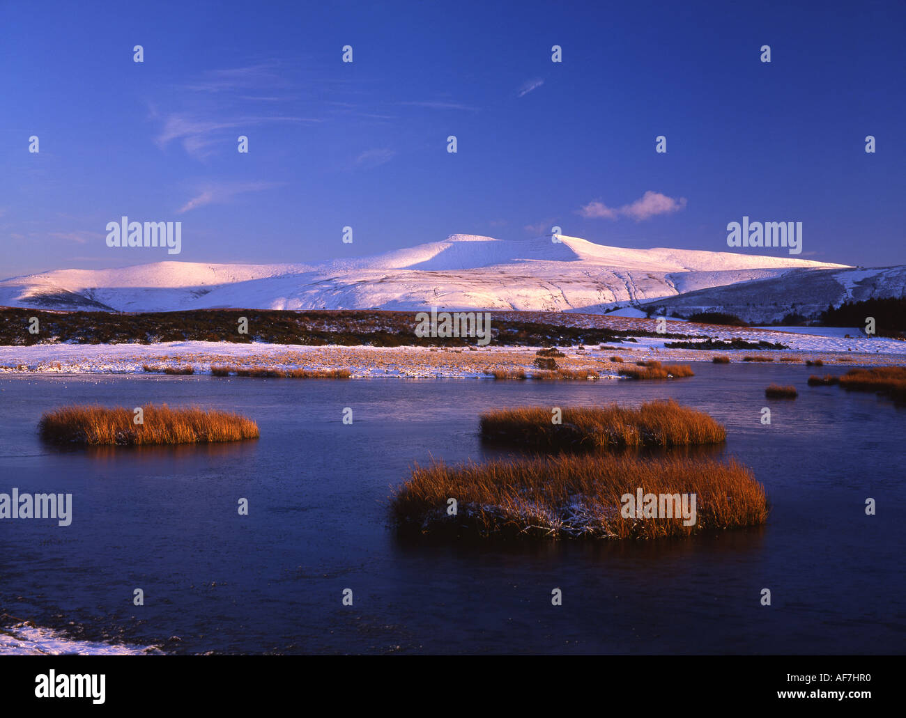 Corn du hi-res stock photography and images - Alamy