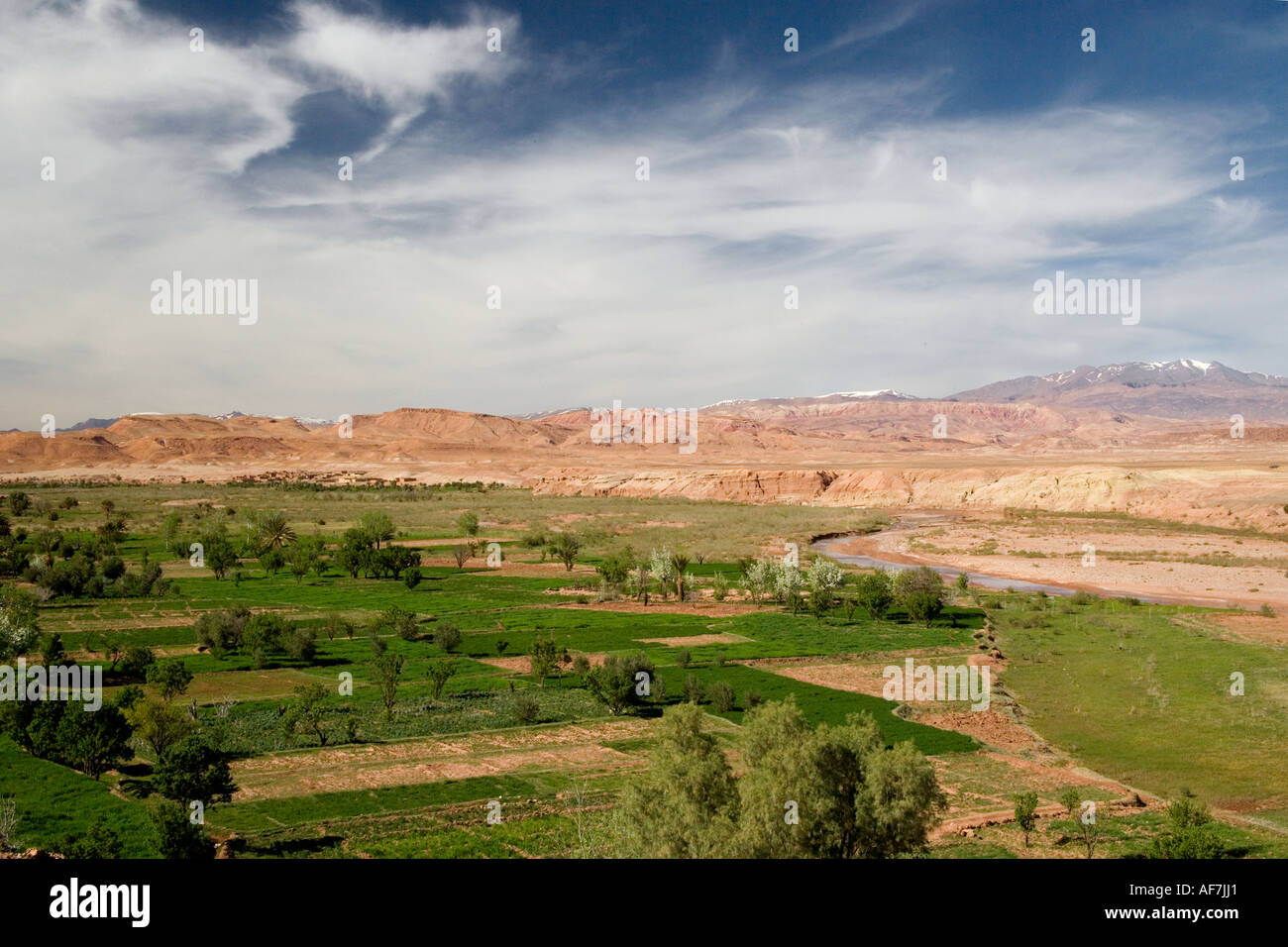 Almond fields in bloom hi-res stock photography and images - Alamy