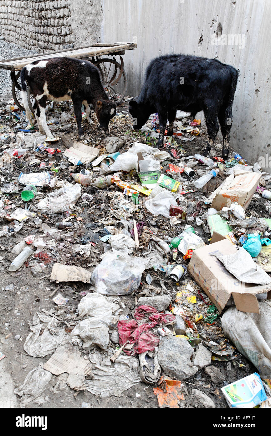 Northern india pollution hi-res stock photography and images - Alamy