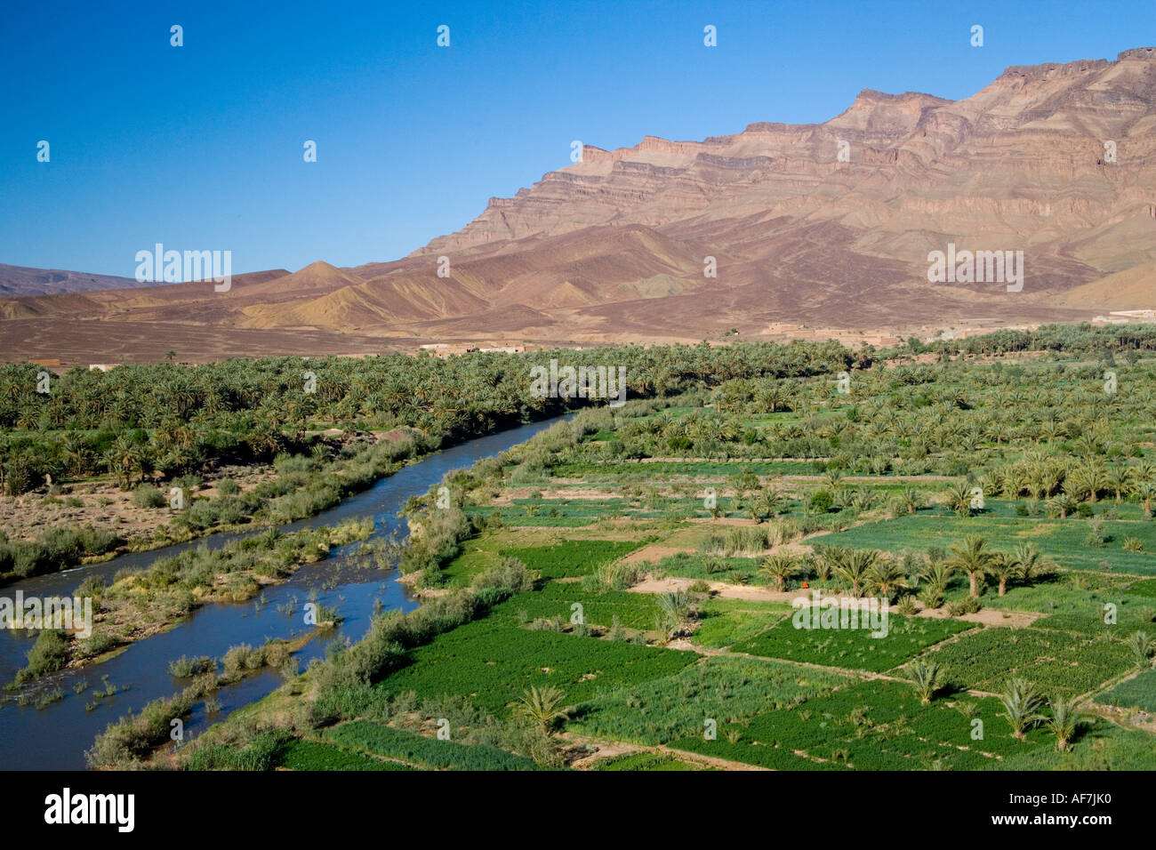 Farming in the Draa Valley along the River Draa, Morocco Stock Photo ...