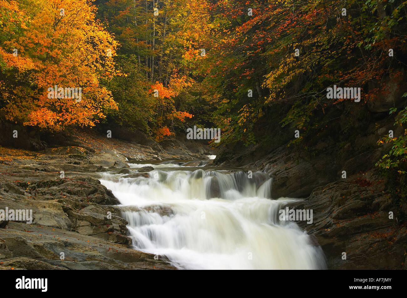 Hayedo y cascada del cubo, Selva de Irati Navarra Spain. Beech Forest ...