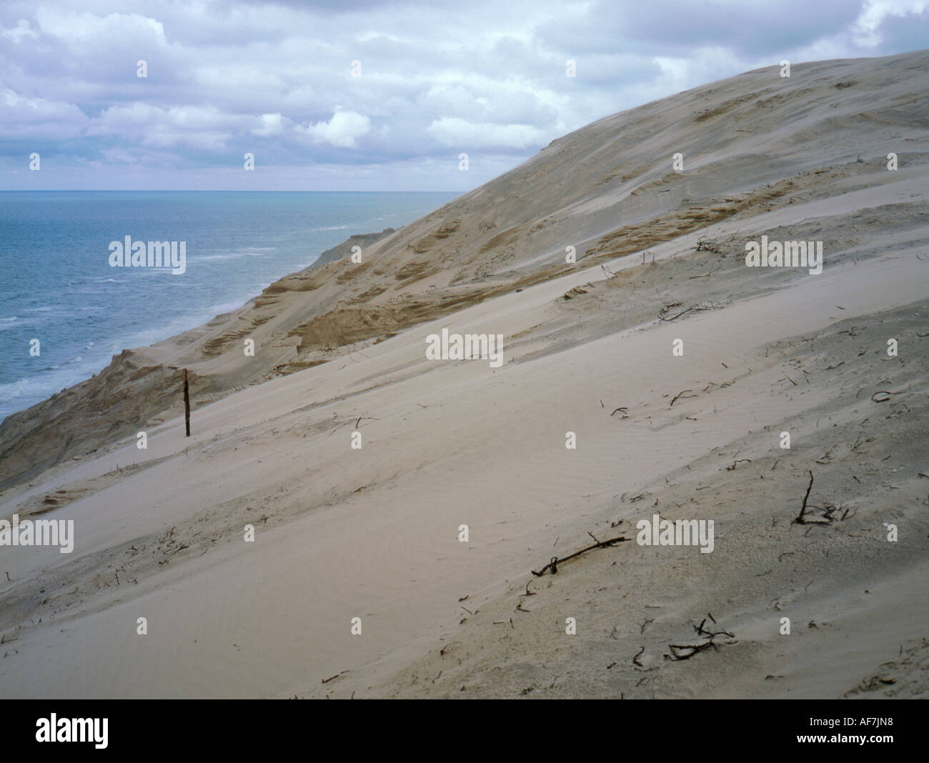 Sand dunes of Rubjerg Knude, Vendsyssel, north Jylland (Jutland ...