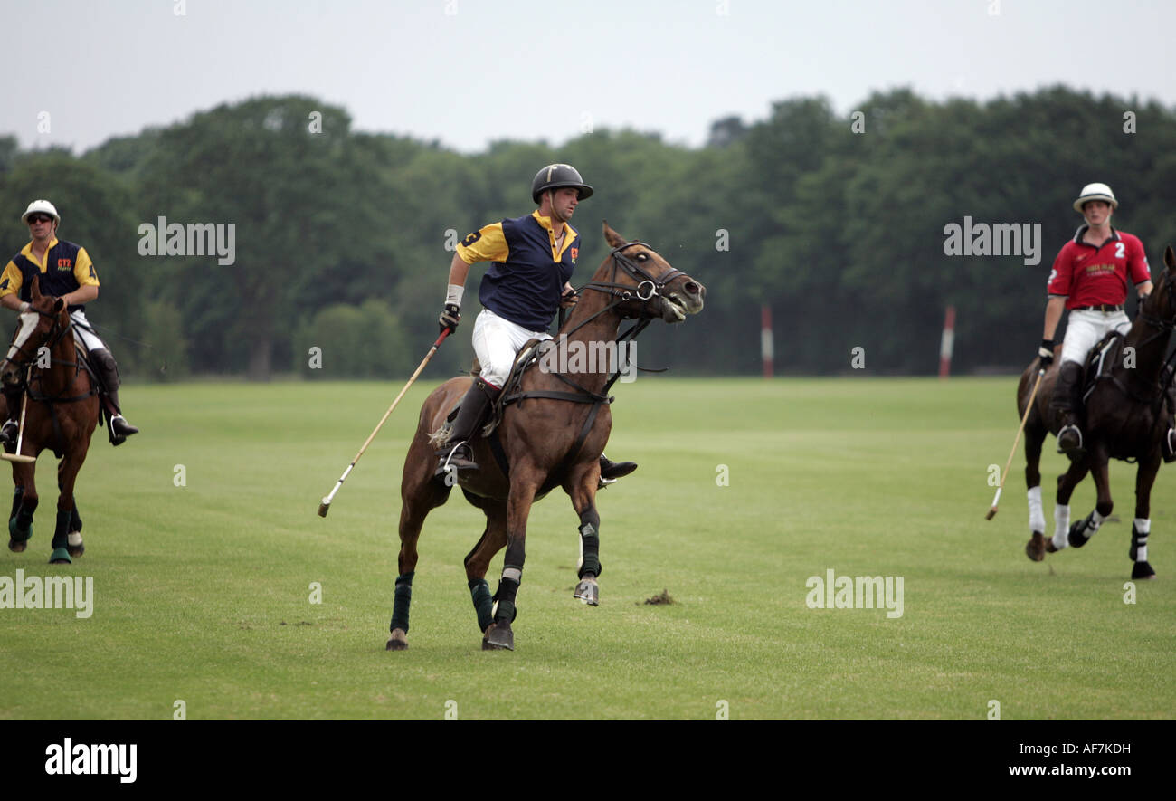 Female polo player hi-res stock photography and images - Alamy