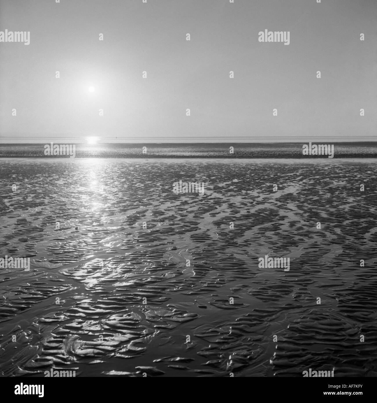 Setting sun on the horizon over the sea Stock Photo - Alamy