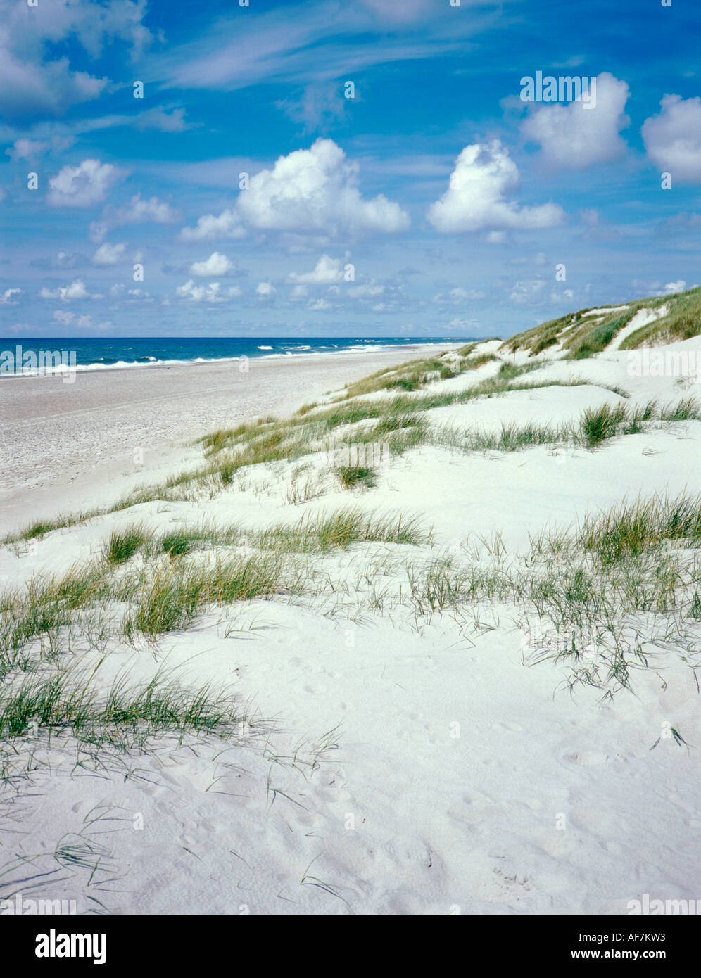 Deserted beach on the west coast, Ribe, Jylland (Jutland), Denmark ...