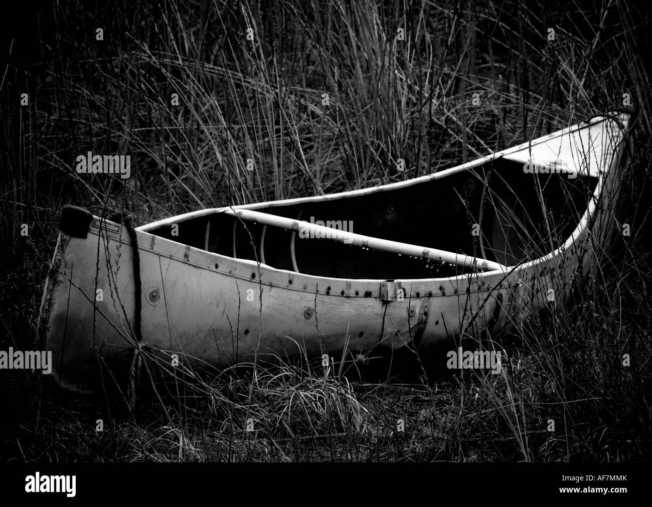 An old mysterious canoe lies in the grass under the moonlight Stock ...