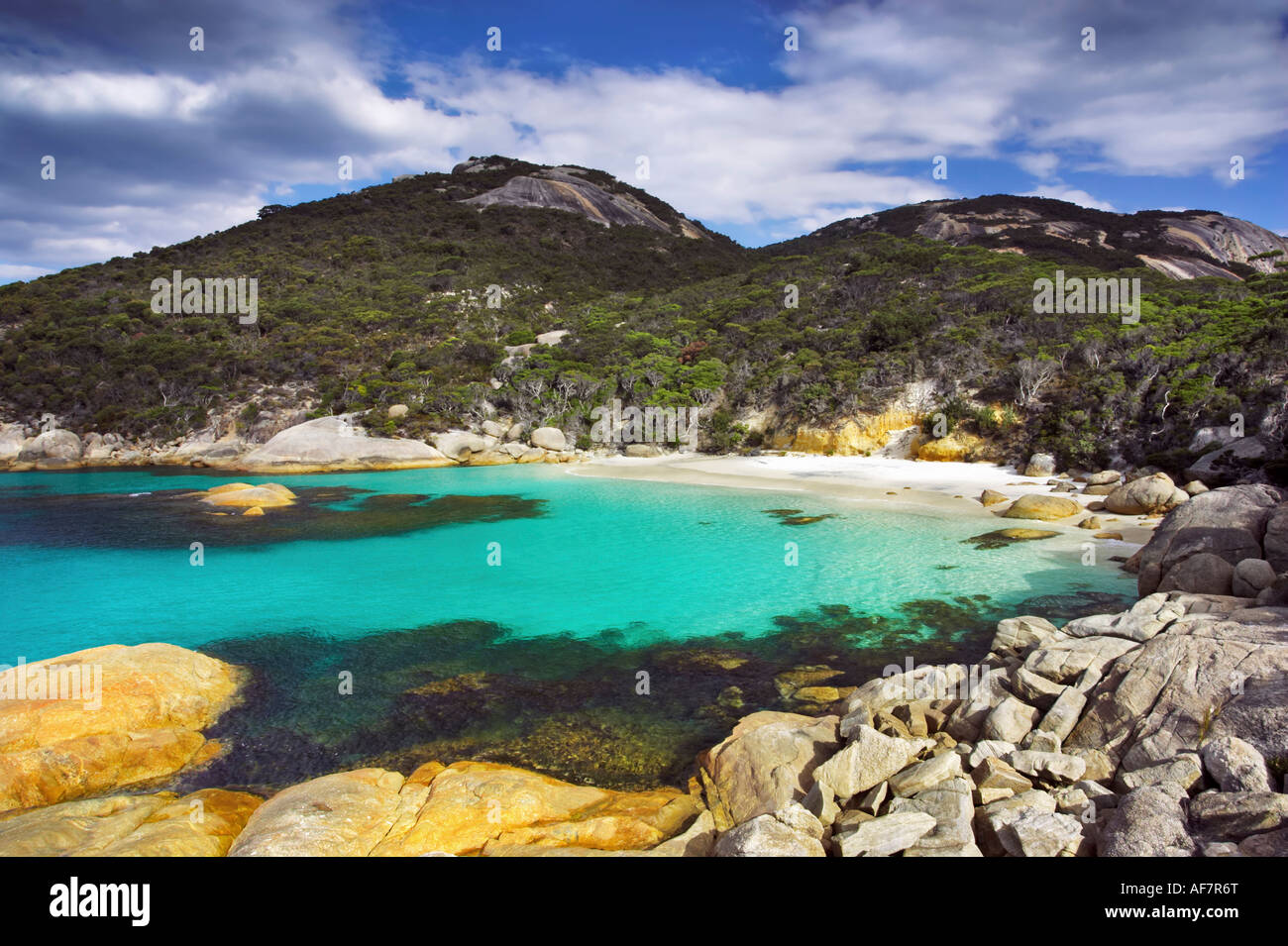 Albany Tropical Beach Australia High Resolution Stock Photography and ...