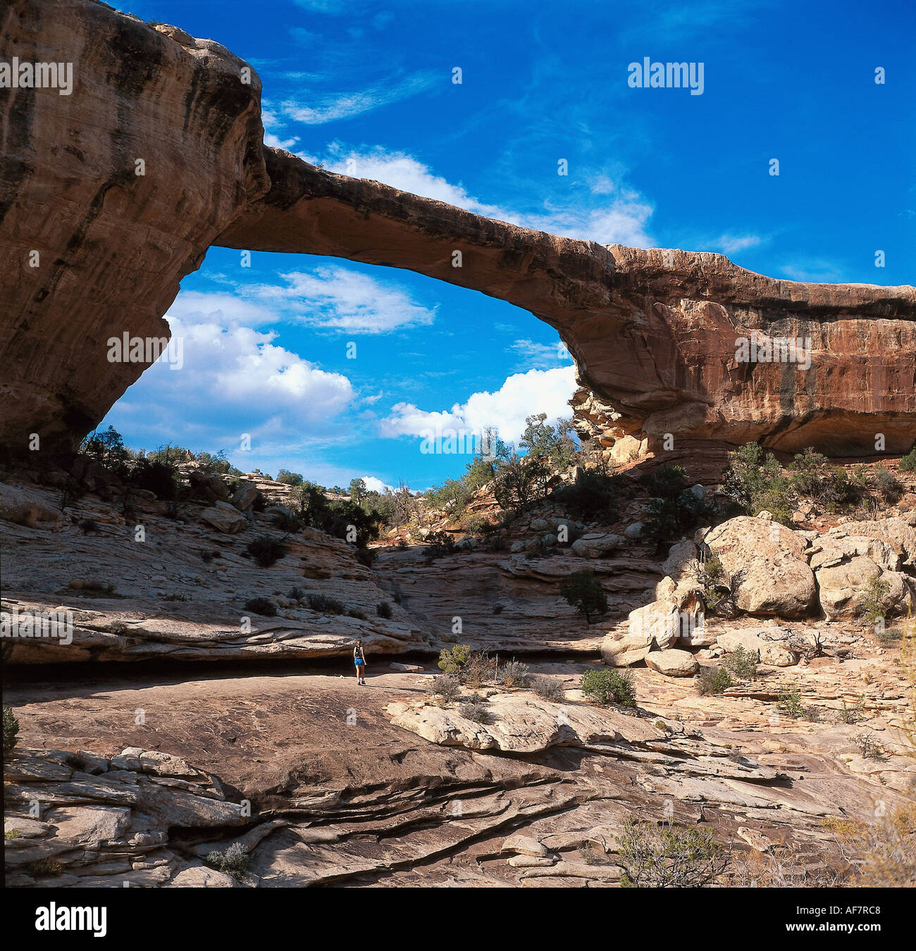 geography / travel, USA, Utah, Natural Bridges National monument ...