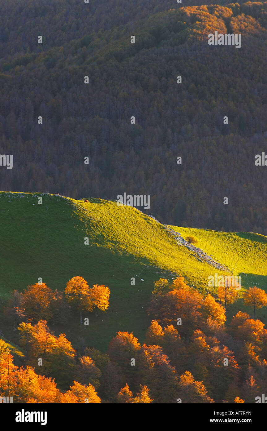 Cordillera de pirineos hi-res stock photography and images - Alamy