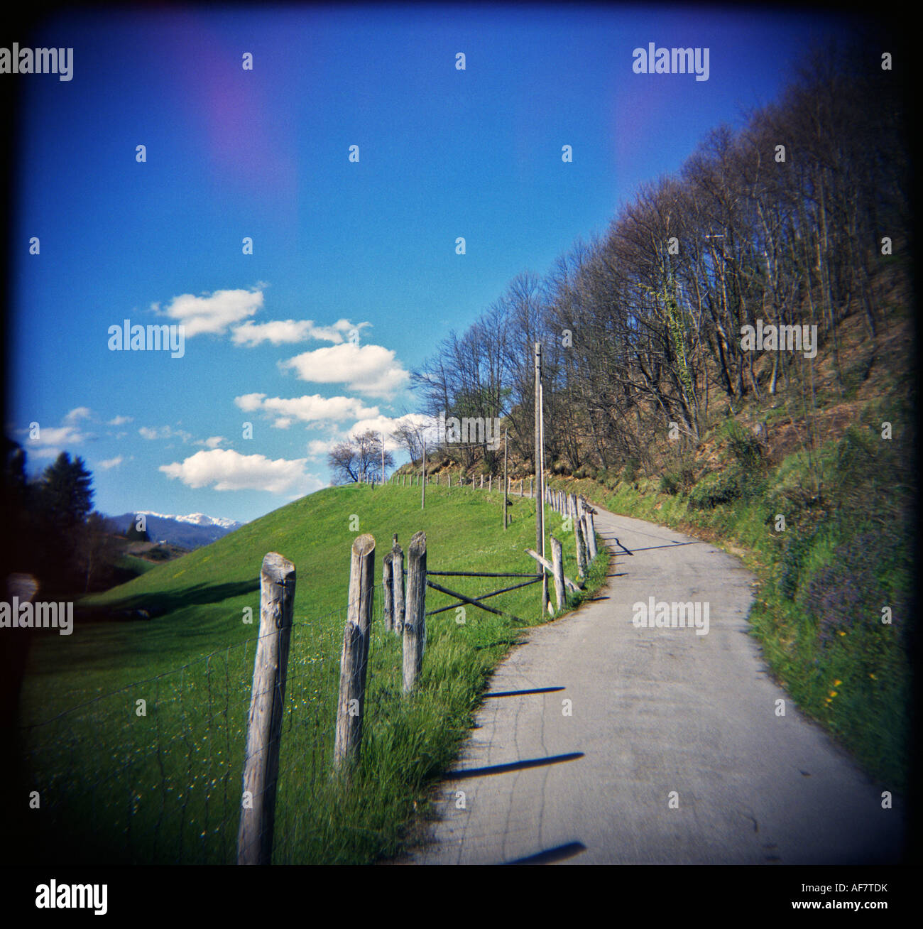 Mountain path, Italy, Tuscany Stock Photo - Alamy