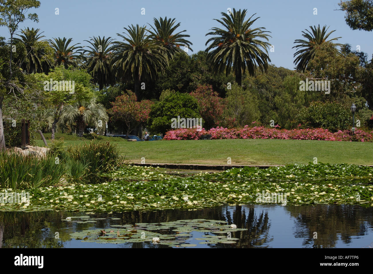 Alice keck hi-res stock photography and images - Alamy