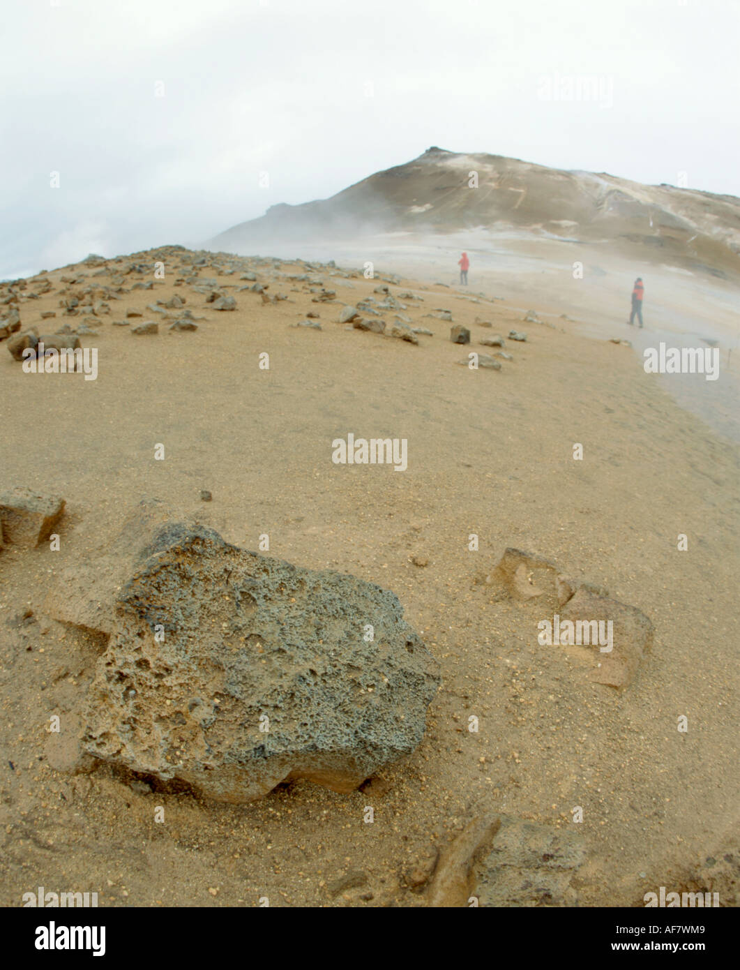 Hverarond craters, mud pools and steam vents, Iceland Stock Photo - Alamy