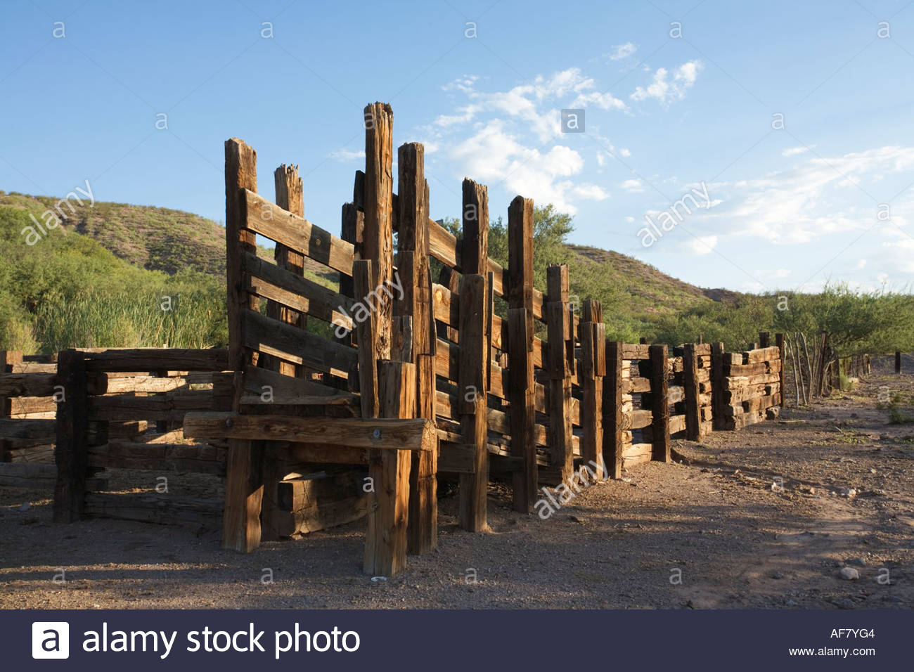 Cattle Loading Chute High Resolution Stock Photography and Images - Alamy