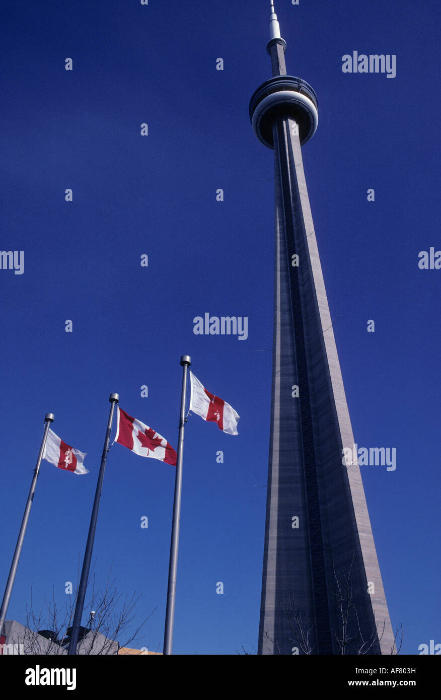 Cn tower toronto copyspace hi-res stock photography and images - Alamy