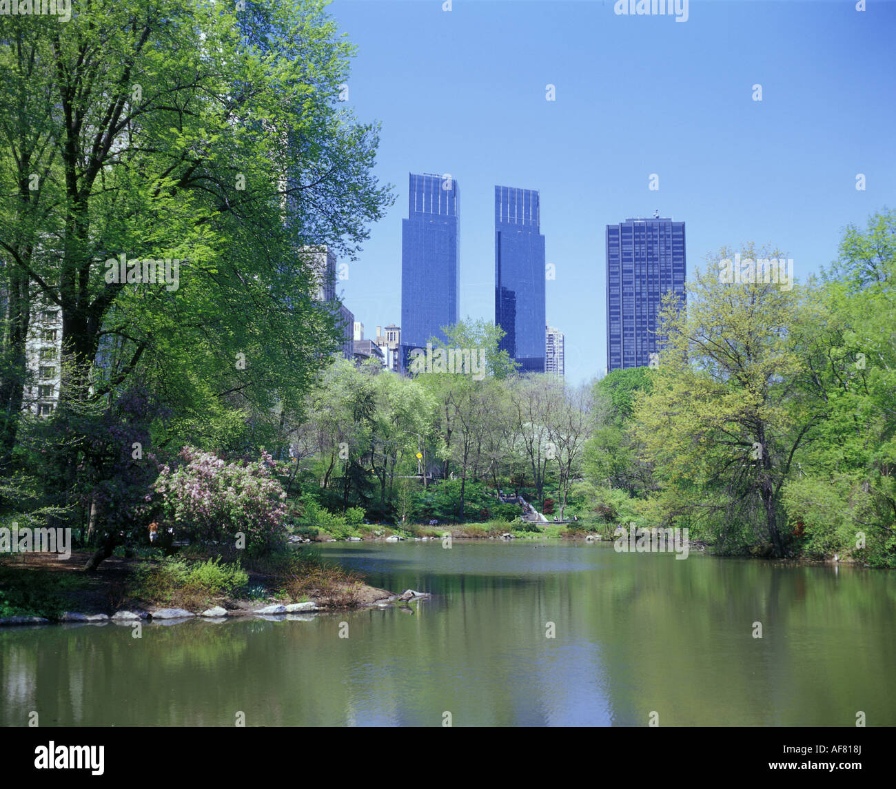 SPRING BLOSSOMS DEUTSCHE BANK TOWERS (©SOM 2004) CENTRAL PARK MANHATTAN ...