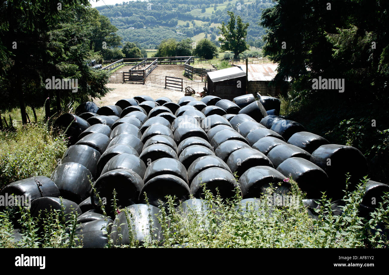 Black plastic wrapping hi-res stock photography and images - Alamy