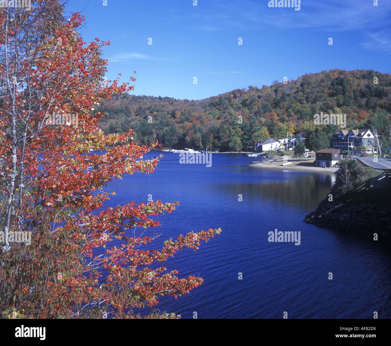 FALL FOLIAGE LONG LAKE ADIRONDACKS NEW YORK STATE USA Stock Photo - Alamy