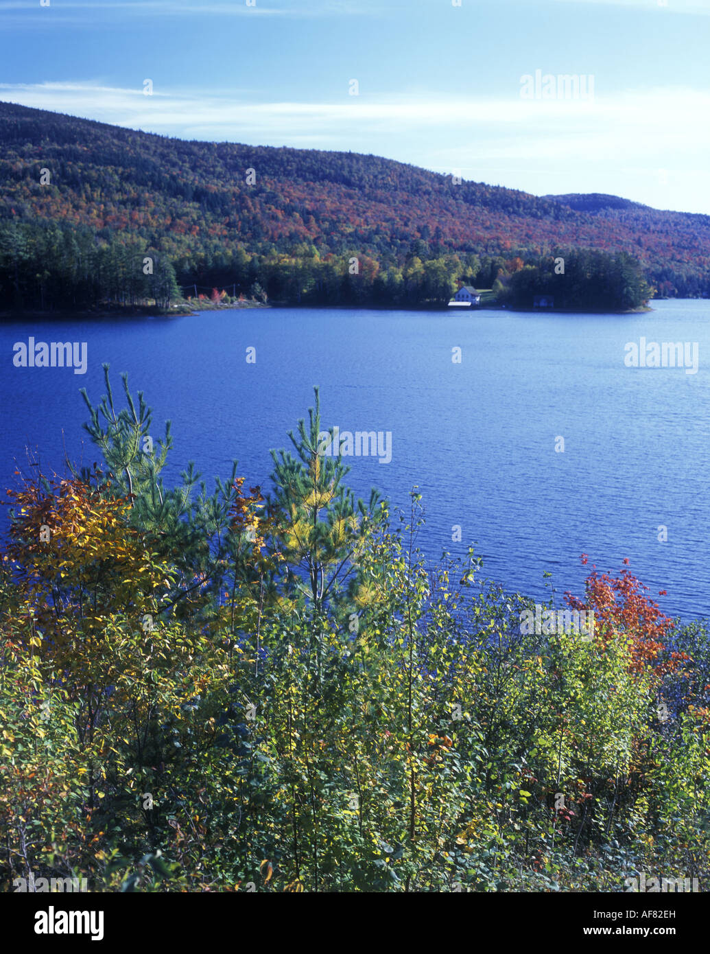 FALL FOLIAGE LONG LAKE ADIRONDACKS NEW YORK STATE USA Stock Photo - Alamy