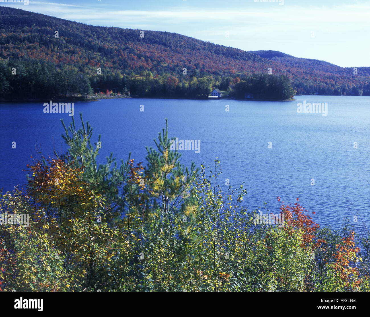 FALL FOLIAGE LONG LAKE ADIRONDACKS NEW YORK STATE USA Stock Photo - Alamy