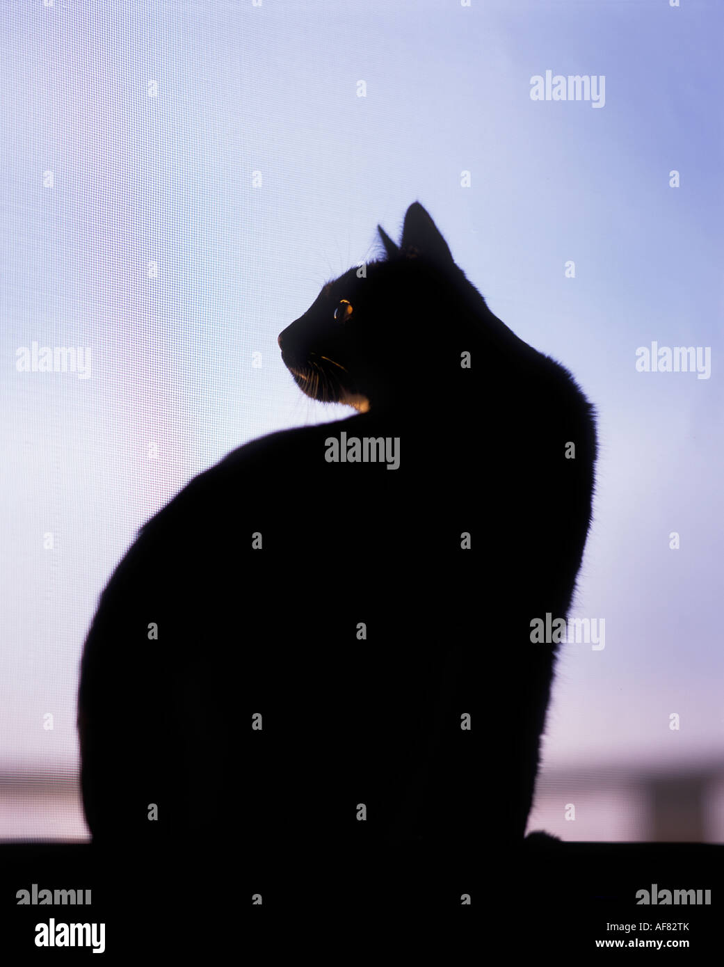 Black edge hi-res stock photography and images - Alamy