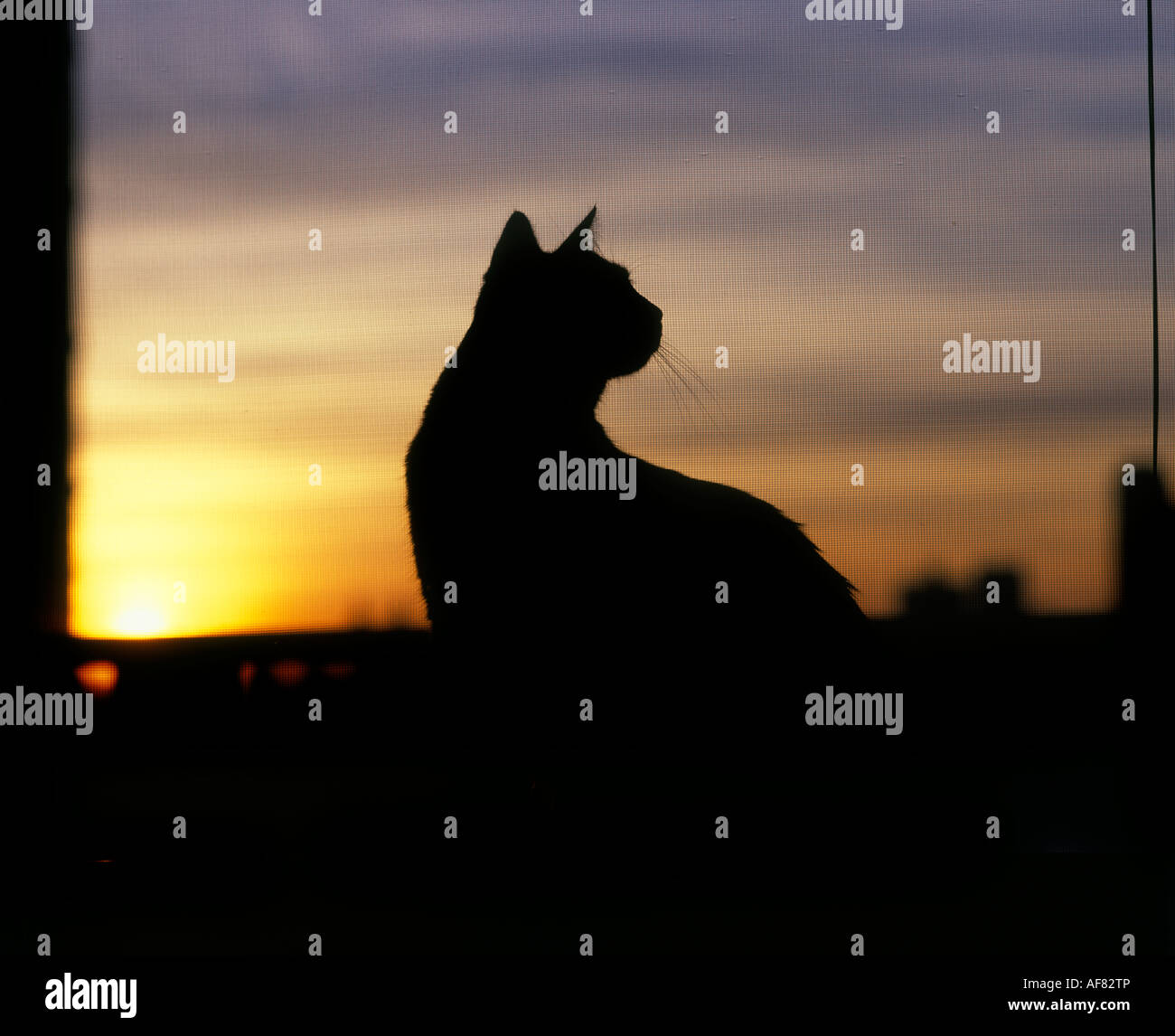 Black edge hi-res stock photography and images - Alamy