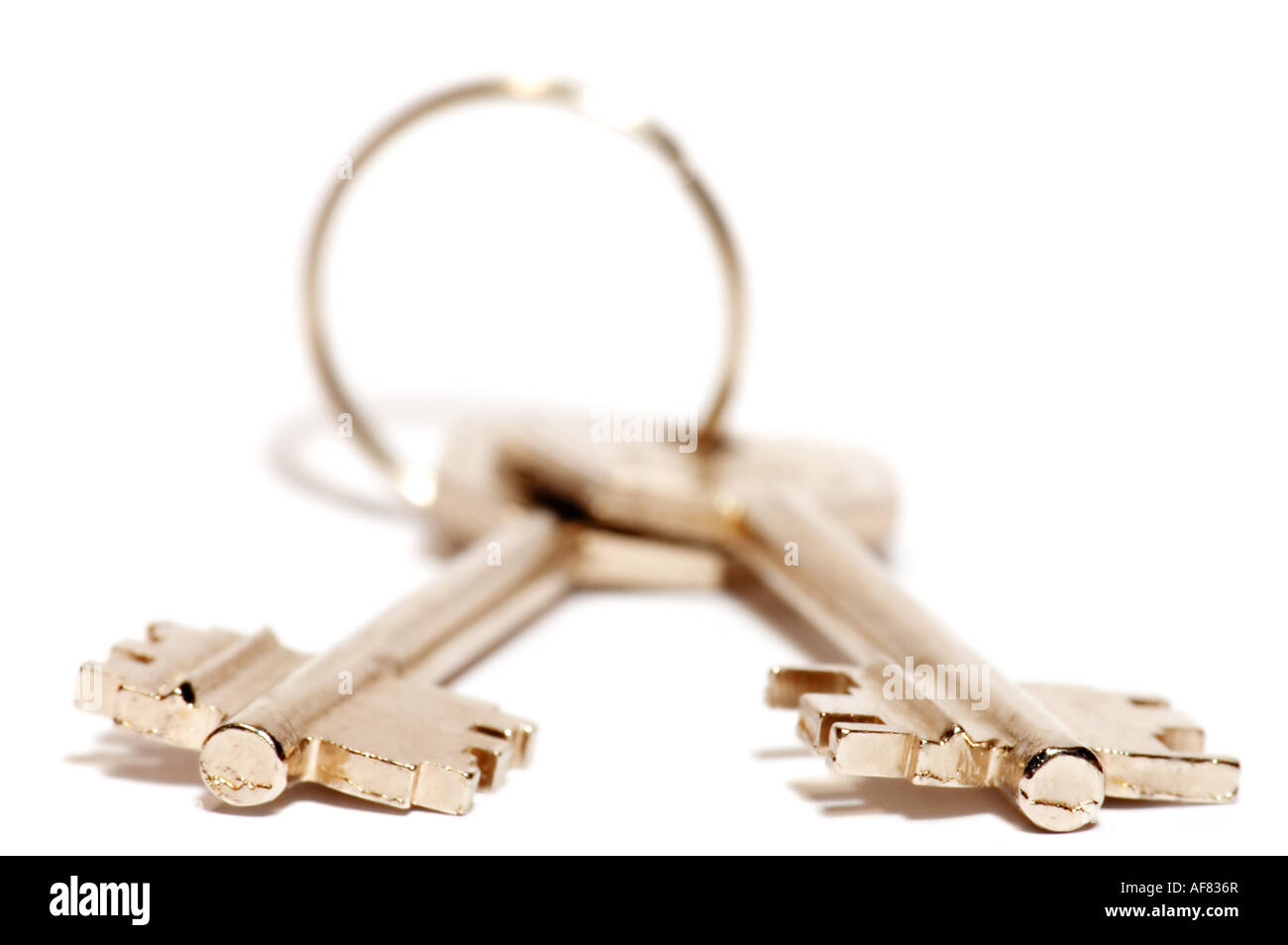 series isolated on white Key with ring Stock Photo - Alamy