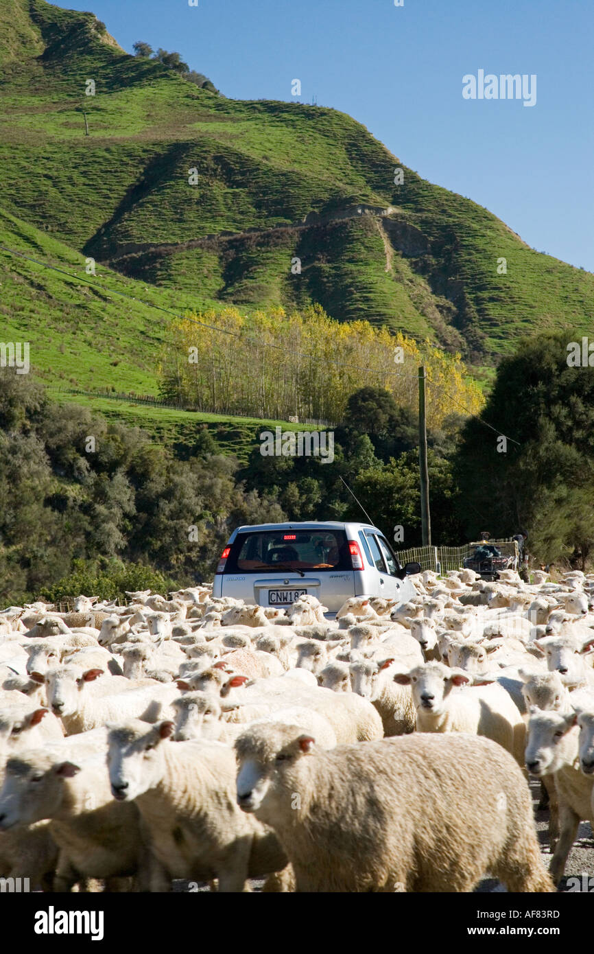 Car mustering hi-res stock photography and images - Alamy