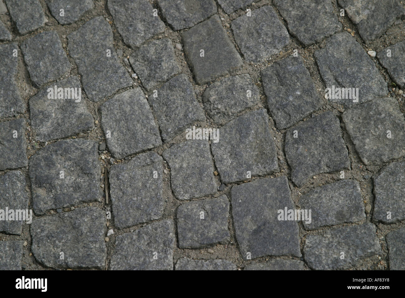 Cobblestone pavement - texture Stock Photo - Alamy