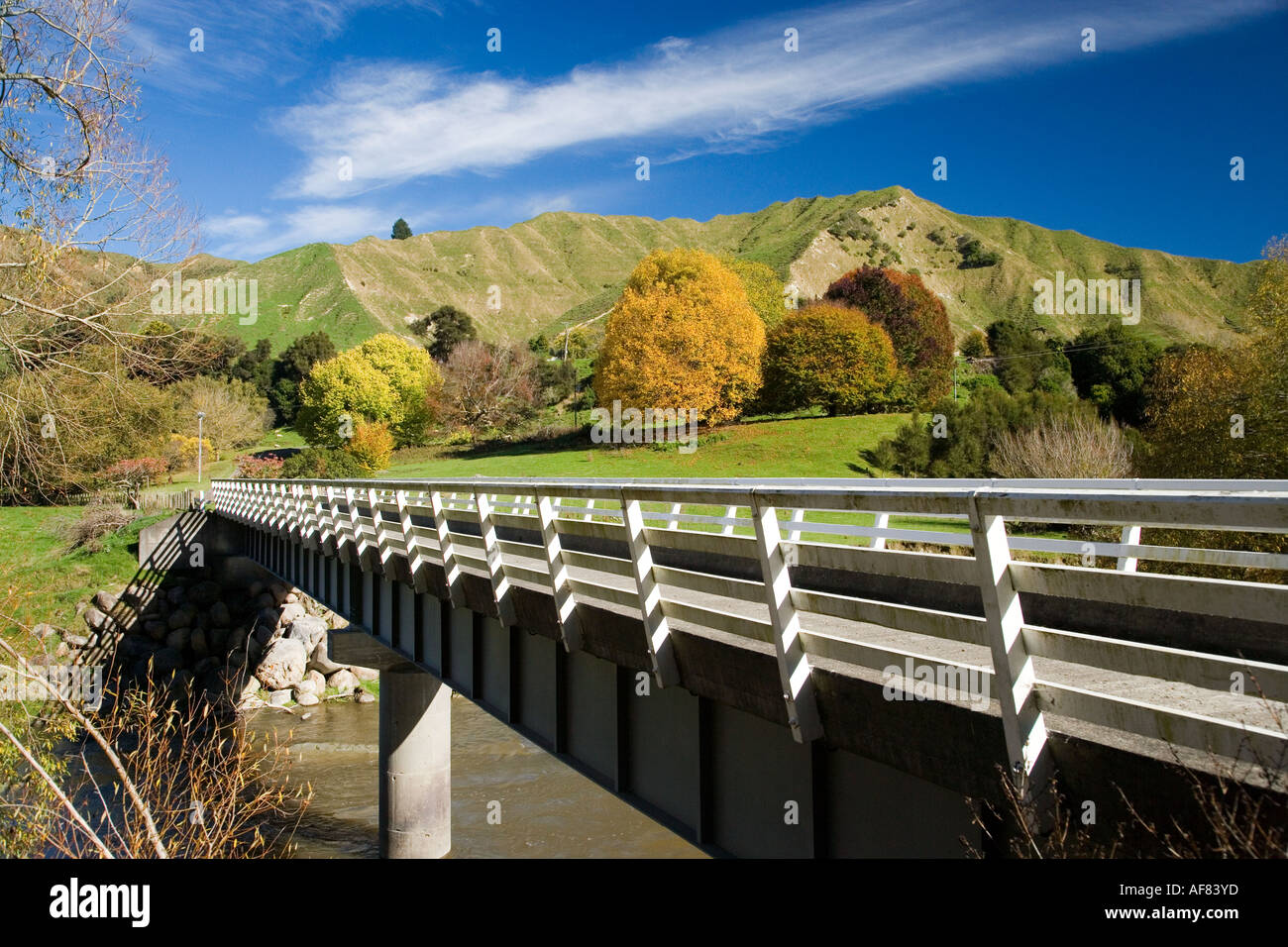 Bridge over Mangawhero River Autumn Colour and Farmland Kakatahi ...