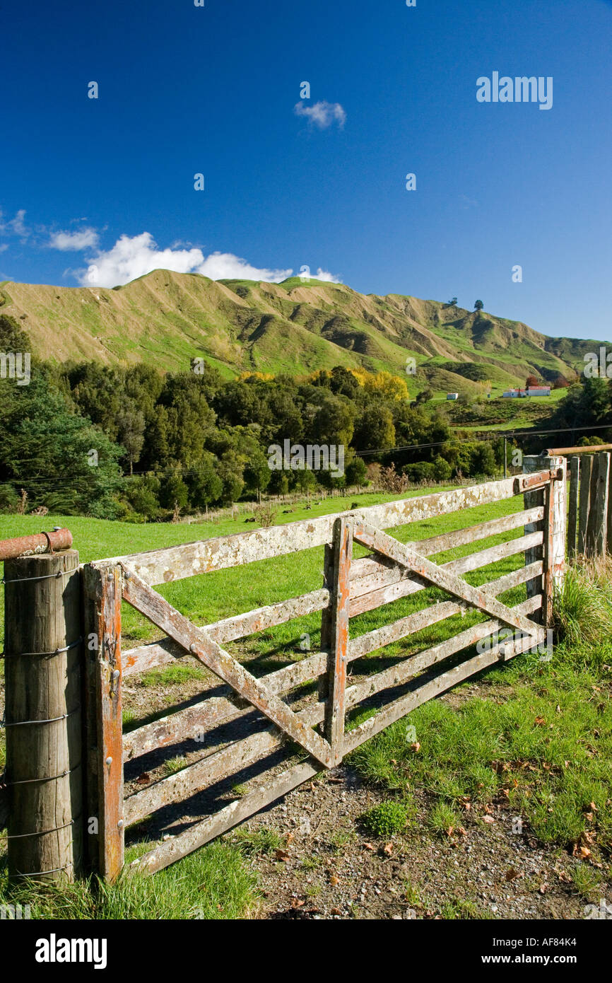 Raetihi hi-res stock photography and images - Alamy