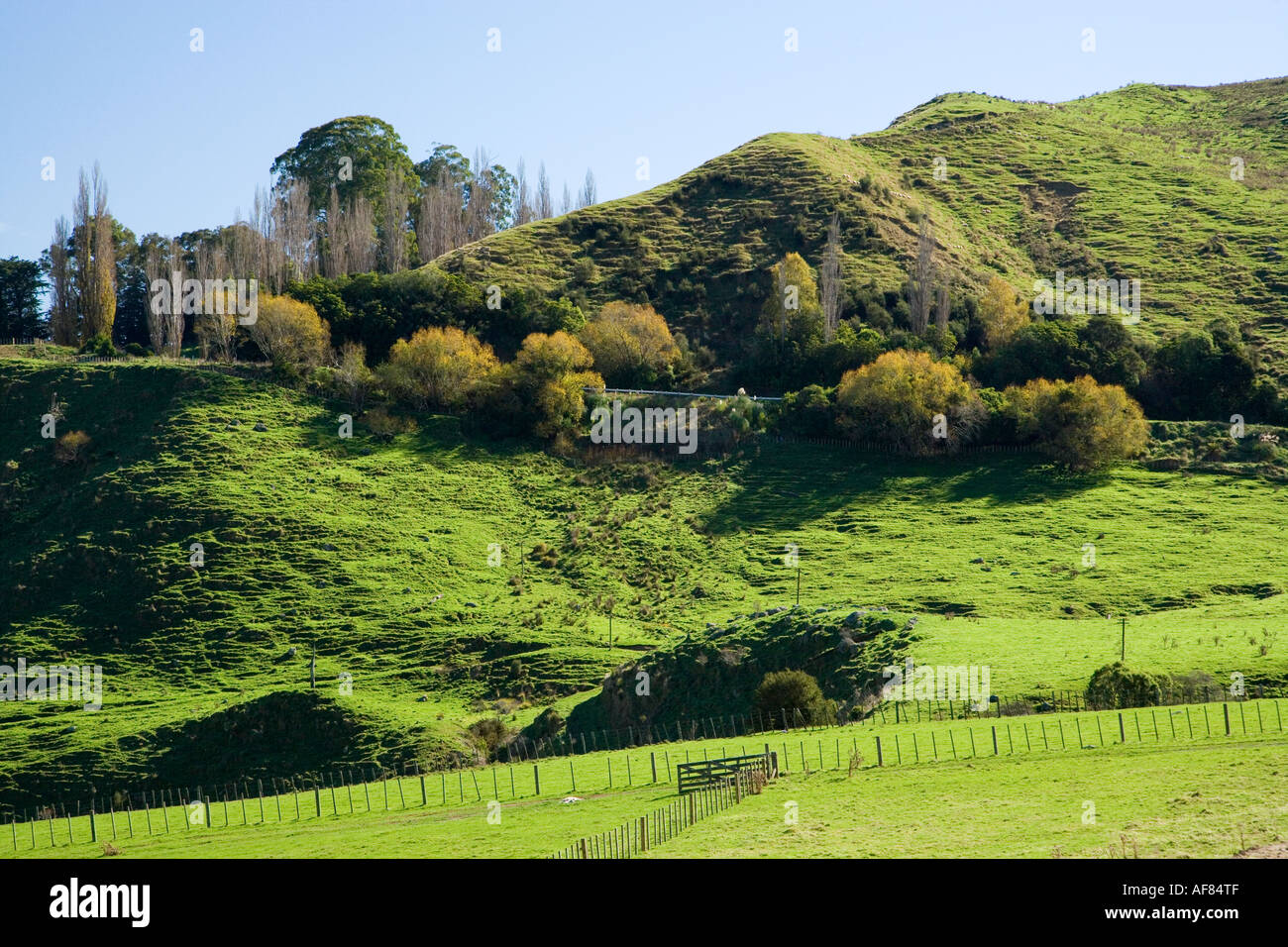 Autumn Colour and Farmland Wanganui Raetihi Road North Island New ...