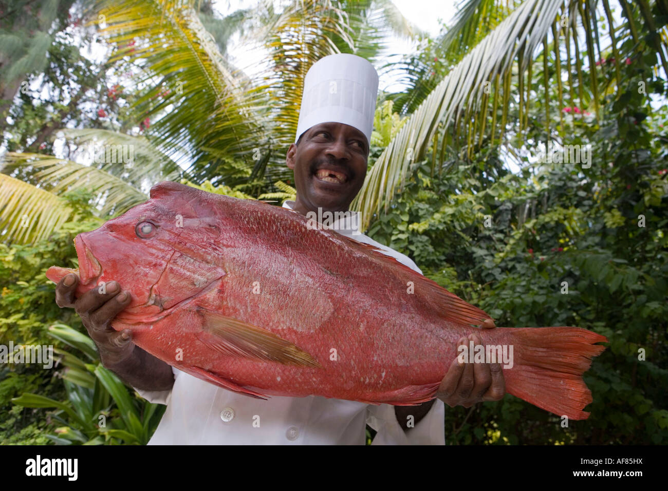 Taj Denis Island Resort Chef with Red Snapper, Denis Island, Seychelles ...