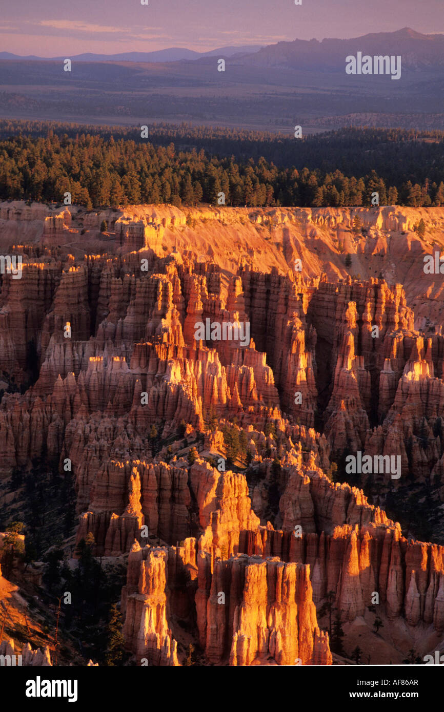 Bryce Canyon in Morning Light, View from Bryce Point, Bryce Canyon ...