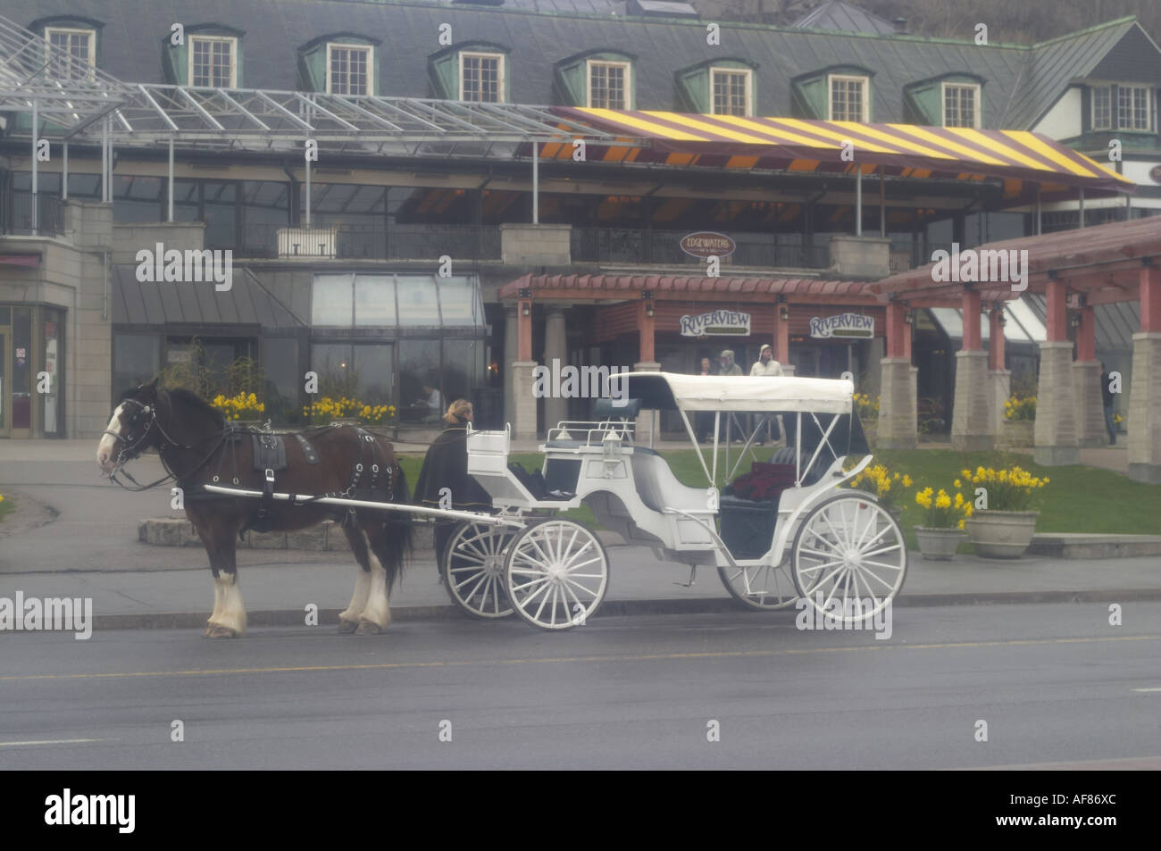 Old style cart in Niagara Falls with soft focus, Canada Stock Photo - Alamy