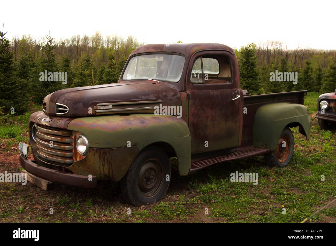 Old American cars 19 Stock Photo - Alamy