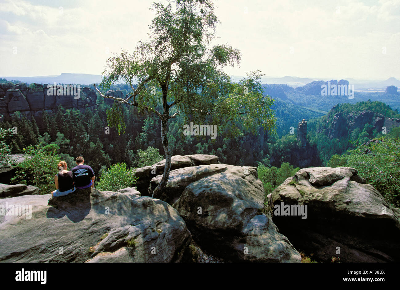 Sandstone formations, Carola Rocks, Saxon Switzerland, Germany Stock ...