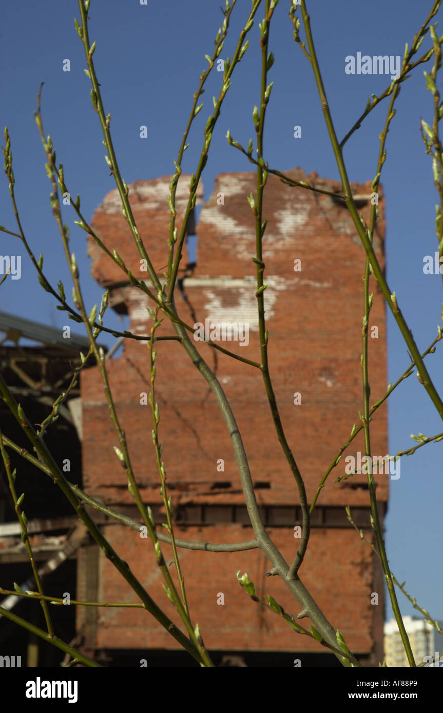 Destructible hi-res stock photography and images - Alamy