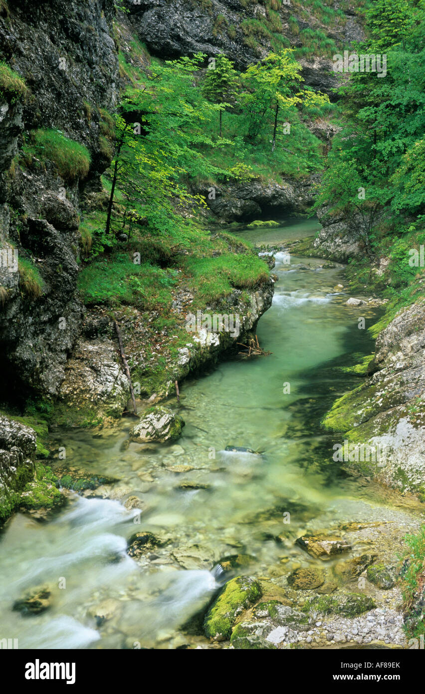 River of Weissbach, Chiemgau, Upper Bavaria, Bavaria, Germany Stock ...