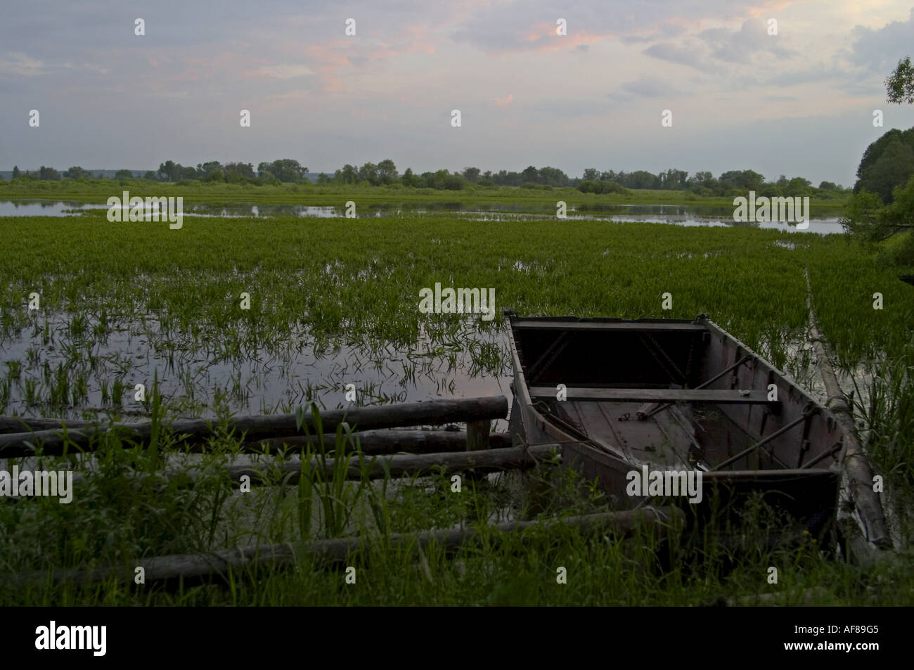 Old boat and overgrown lake Stock Photo - Alamy