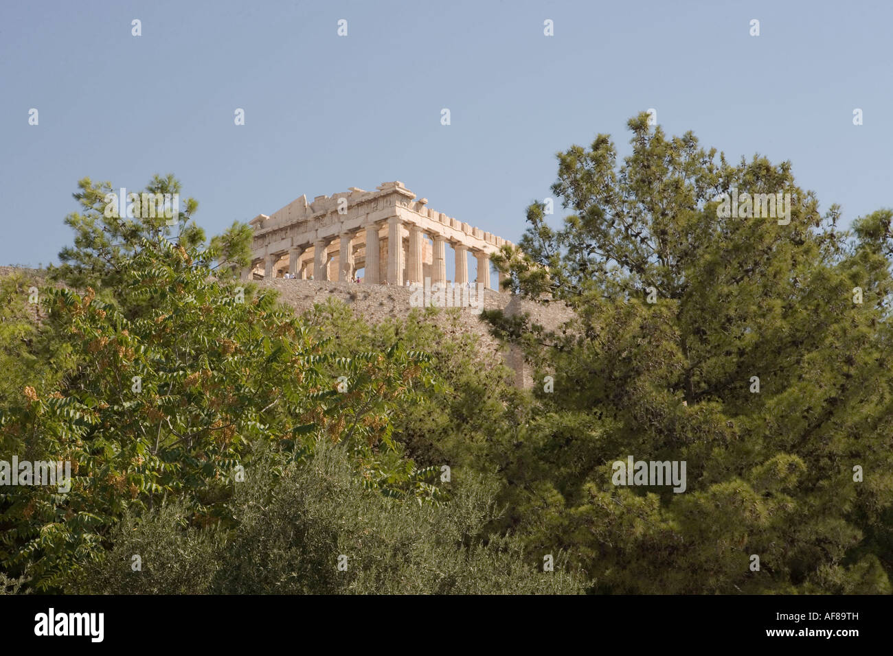 Pine Trees and Parthenon, Acropolis, Athens, Greece Stock Photo - Alamy