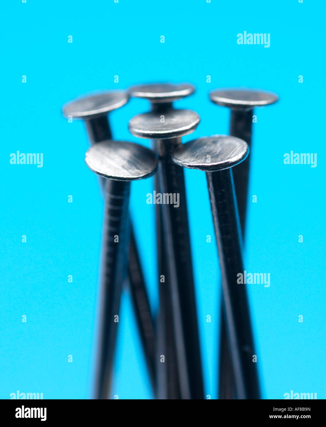 nails, blue,iron , tool , close up head Stock Photo - Alamy