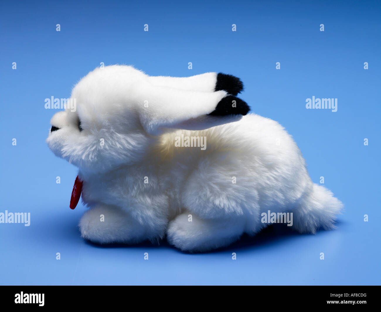 rabbit white peluche soft brushed plush tail ear Stock Photo - Alamy