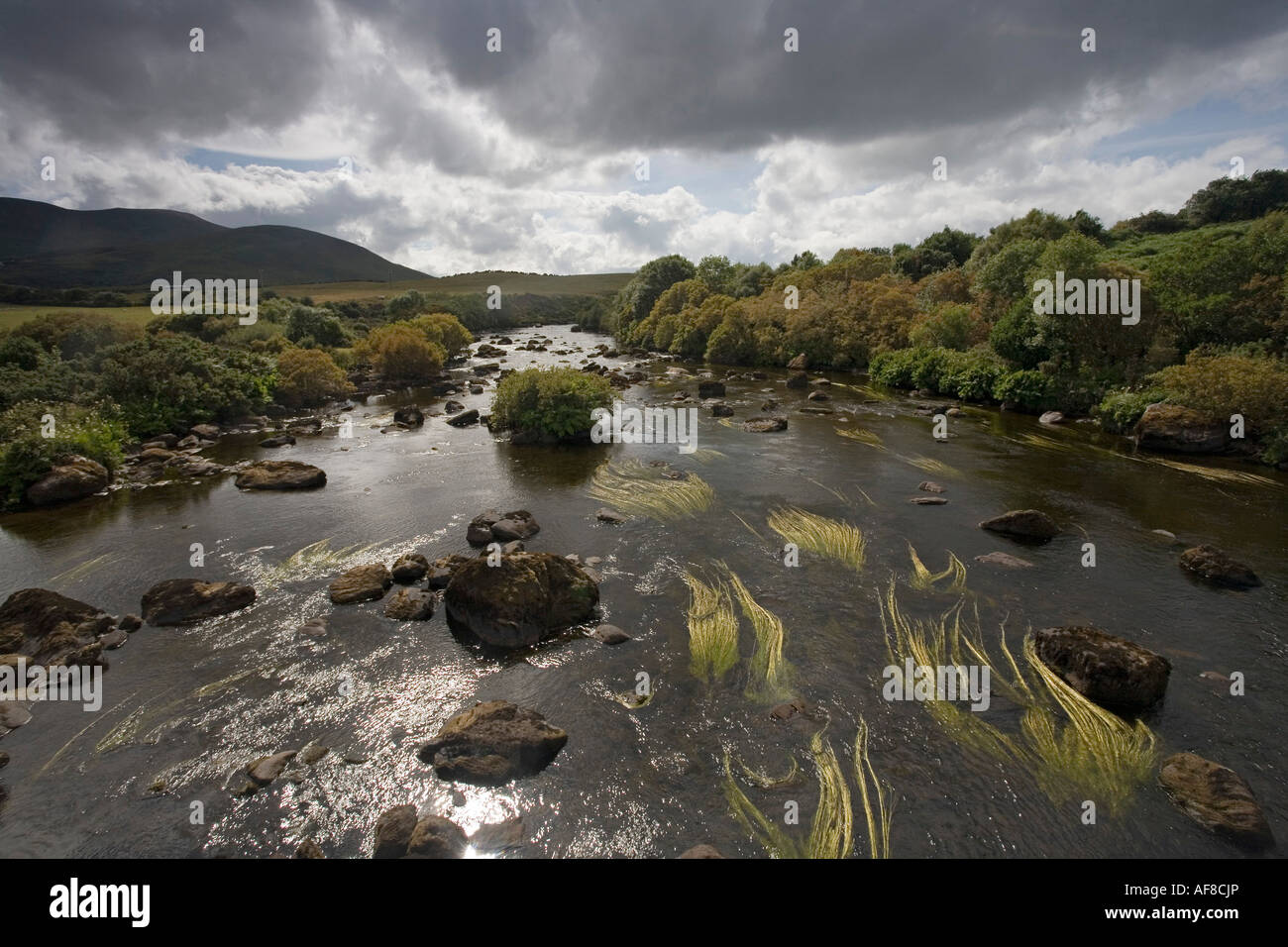 River near Lake Caragh, Ring of Kerry, Ireland, Europe Stock Photo - Alamy