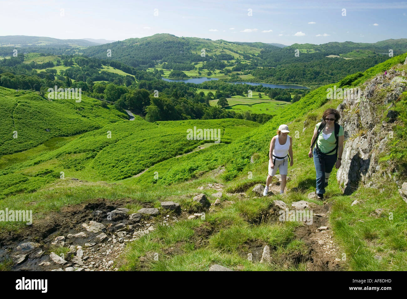 2 women walkers climbing Silver howe, Lake district, UK Stock Photo - Alamy